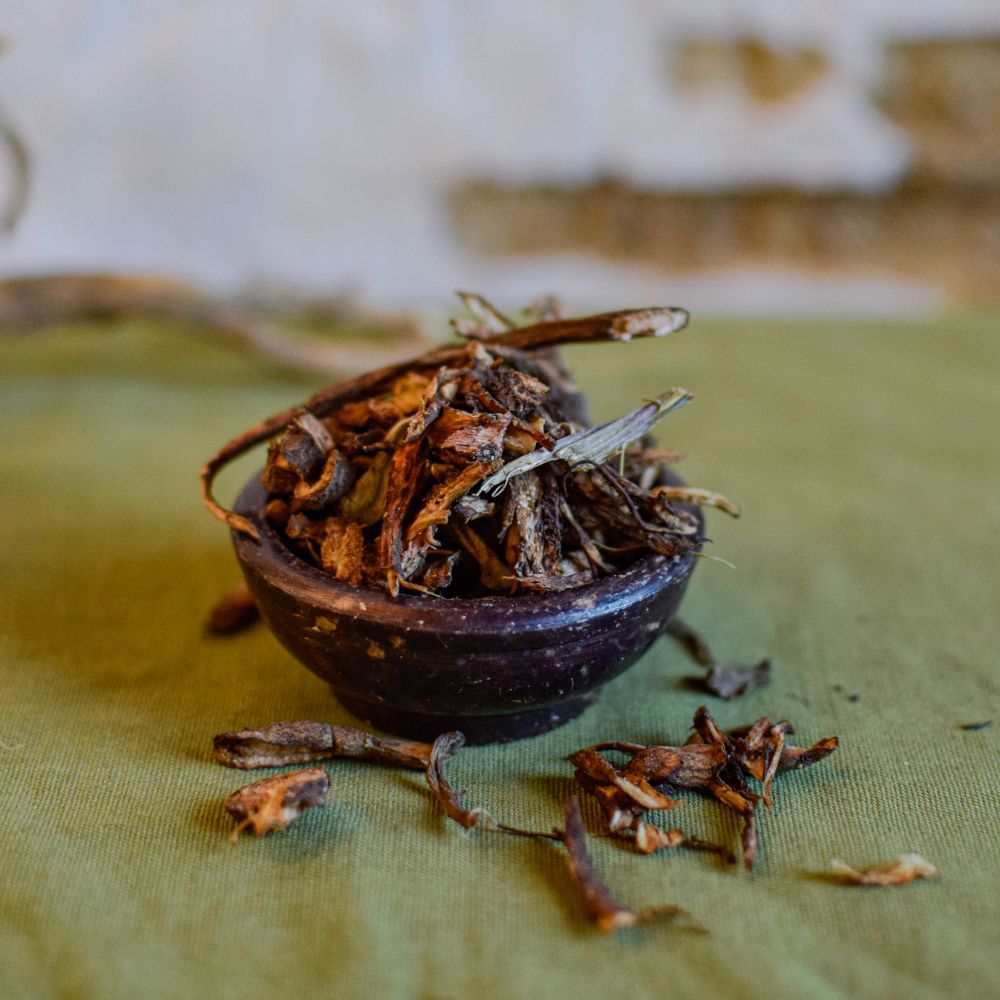 Große Klette Wurzel | 19334