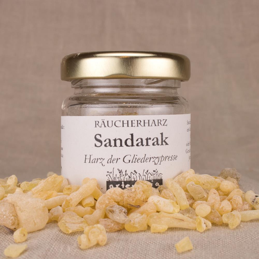 Sandarak Australien* | 10141